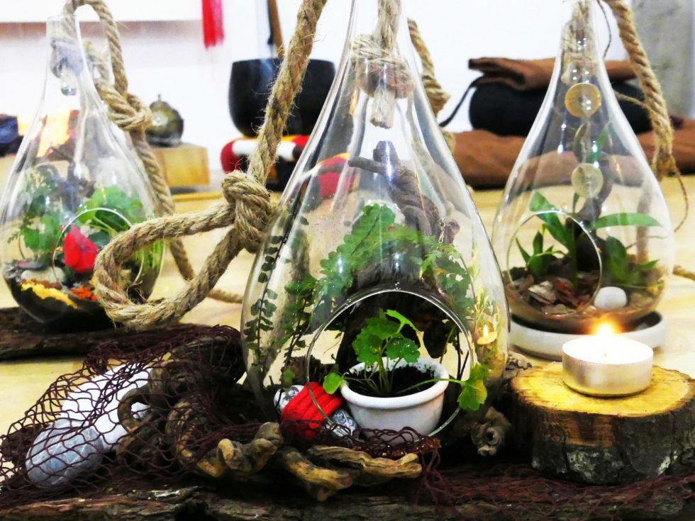 El Jardín del Tao | Enso Eskola